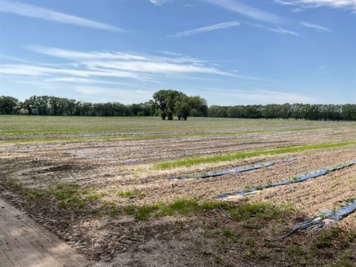 Alachua County Florida Land for Sale : LANDFLIP