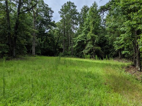 Adam Griffin Georgia Land Company Land For Sale Landflip