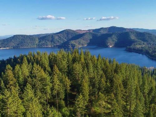 Washington Hunting Land for Sale - LANDFLIP