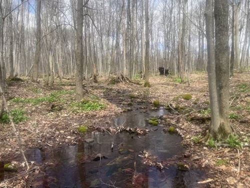 Dan Christmas : Christmas & Associates Land for Sale : LANDFLIP