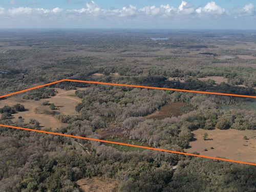 Florida Pasture Land for Sale - landflip
