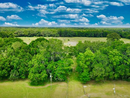 Florida Pasture Land for Sale - landflip