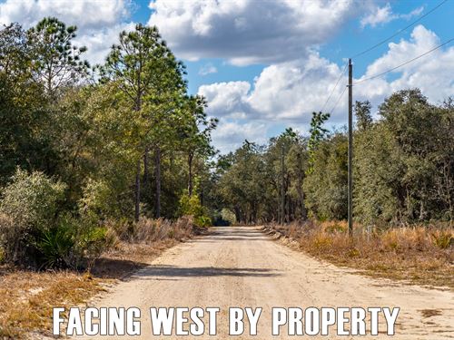 Bronson Florida Land for Sale : LANDFLIP