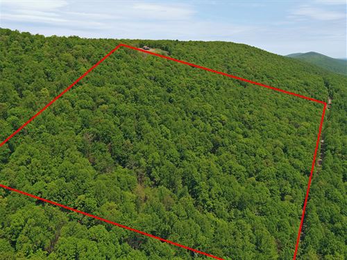West Virginia Mountain Land for Sale - LANDFLIP