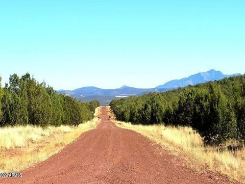 Coconino County Arizona Land for Sale - landflip