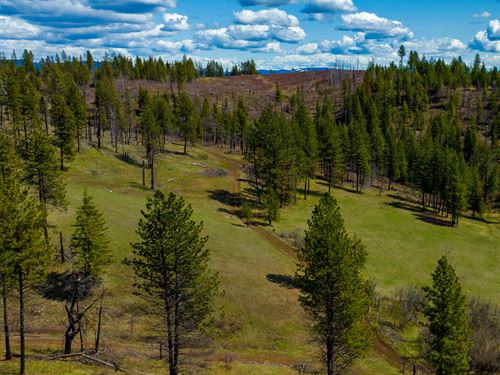 Idaho Land for Sale : LANDFLIP