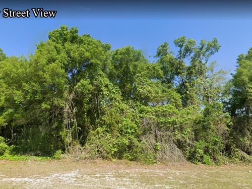 Florida Land for Sale : Page 3 of 99 - landflip