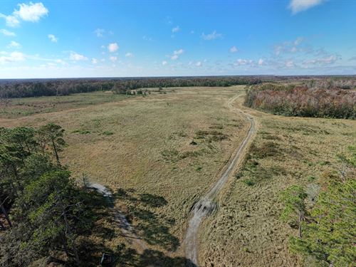 Florida Land for Sale : LANDFLIP