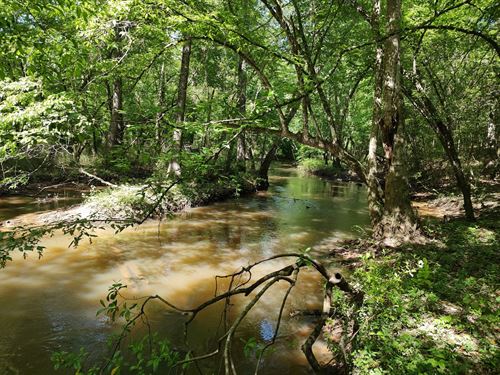 Swamp Land for Sale - landflip