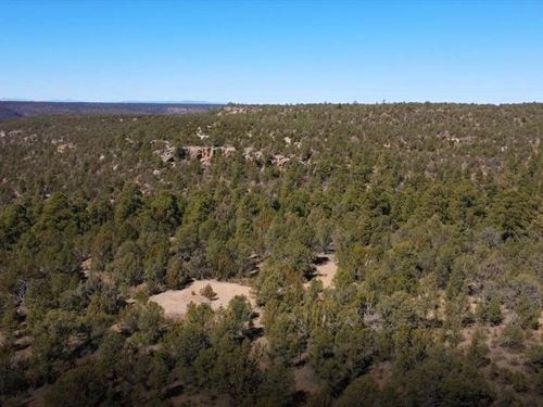 New Mexico Land for Sale : Page 2 of 34 - landflip