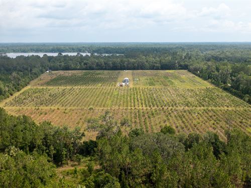 Alachua County Florida Land for Sale - landflip