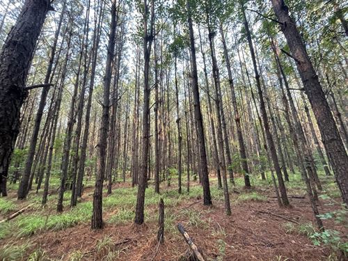 Alabama Land for Sale & Property for Sale : Page 10 of 55