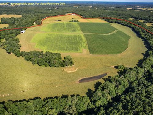 Missouri Land for Sale : Page 2 of 61 - landflip