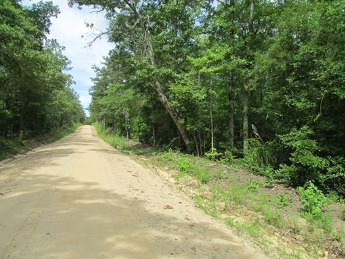 South Carolina Land for Sale : Page 13 of 28 - landflip