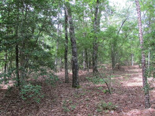South Carolina Land for Sale : Page 3 of 27 - landflip
