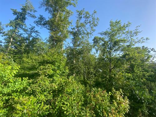 Louisiana Hunting Land for Sale : Page 2 of 11 - landflip