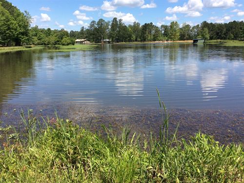 Alabama Land for Sale : Page 3 of 66 : LANDFLIP