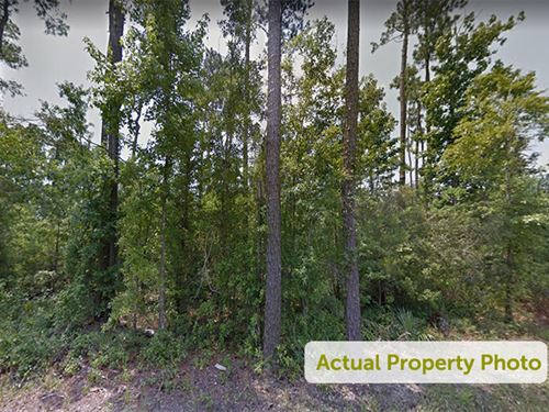 Mississippi Land for Sale by Owner (FSBO) - LANDFLIP