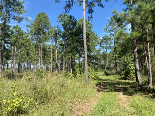 Georgia Land for Sale - LANDFLIP