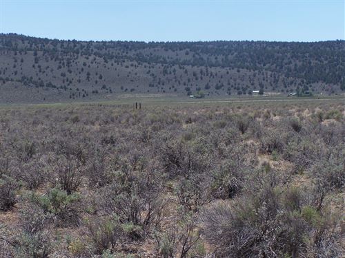 California Land for Sale - LANDFLIP