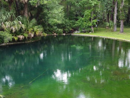 Florida Land for Sale : Page 57 of 59 : LANDFLIP