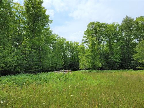 Wisconsin Land for Sale - LANDFLIP