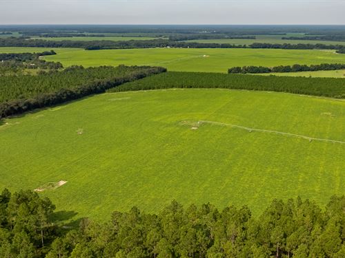 Georgia Land for Sale : LANDFLIP