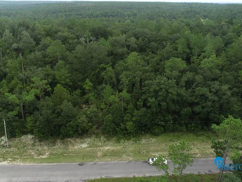 Florida Land for Sale : Page 5 of 93 - LANDFLIP