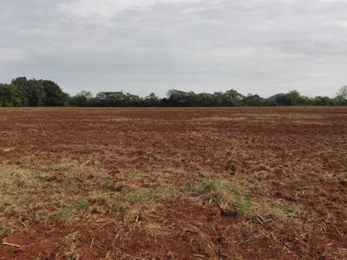 LA Pena Panama Land for Sale : LANDFLIP