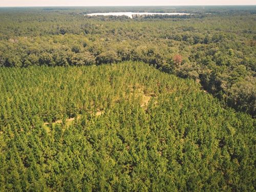 Florida Land for Sale : Page 55 of 89 - LANDFLIP