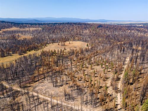 Oregon Land for Sale - LANDFLIP