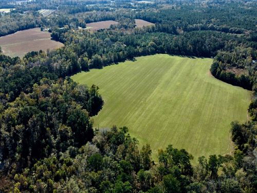 South Carolina Land for Sale Over 8 Acres : Page 8 of 20 : Buy Land for ...