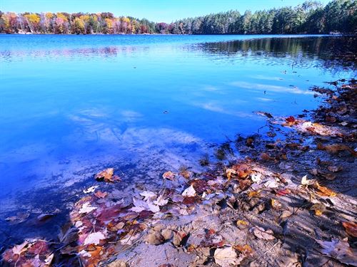 Wisconsin Land for Sale : LANDFLIP