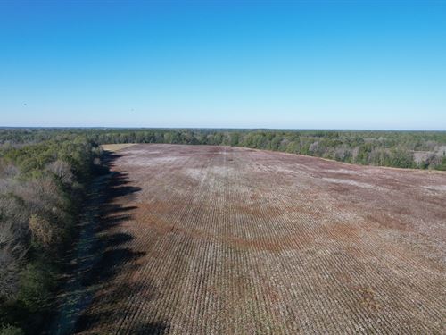 Land for Sale Over 25 Acres : Page 26 of 467 : Buy Land for Sale, Find ...