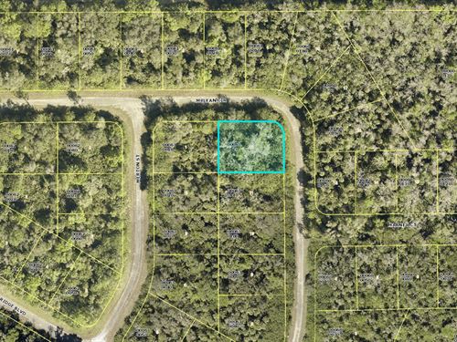 Lee County Florida Land for Sale : LANDFLIP