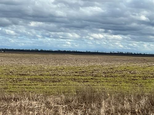 Jerry Brown : Brown Realty Co. Land for Sale : Buy Land for Sale, Find ...