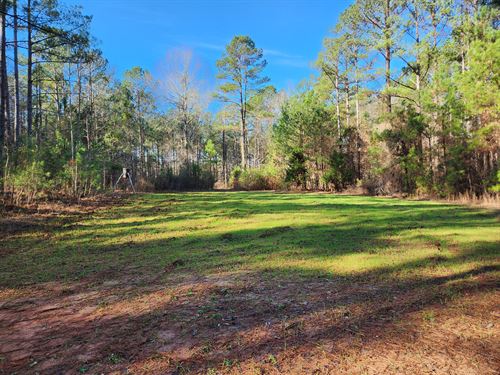 Taylor County Georgia Land for Sale : LANDFLIP