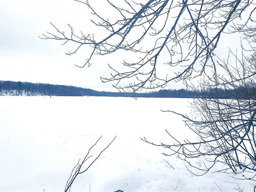 Wisconsin Land for Sale : LANDFLIP