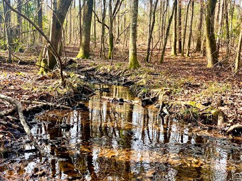 Georgia Land for Sale : Page 11 of 90 : LANDFLIP