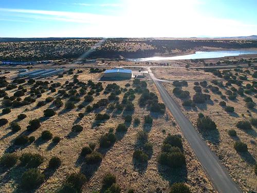 Concho Arizona Land for Sale : LANDFLIP
