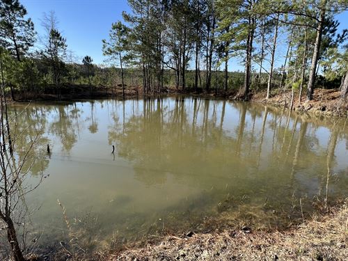 Houston County Georgia Pond Land for Sale : LANDFLIP