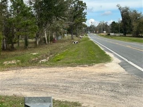 Grand Ridge Florida Land for Sale : LANDFLIP