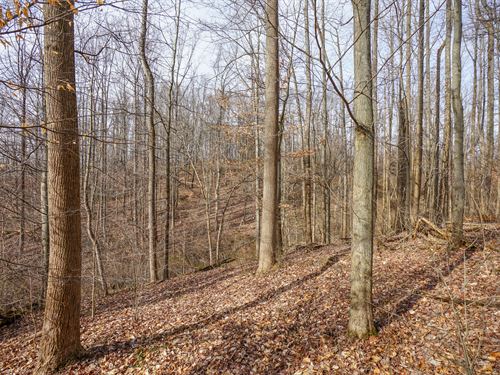 Ohio Land for Sale : Page 10 of 12 : LANDFLIP