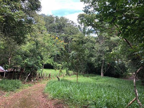 Mercedes Atenas Costa Rica Land for Sale