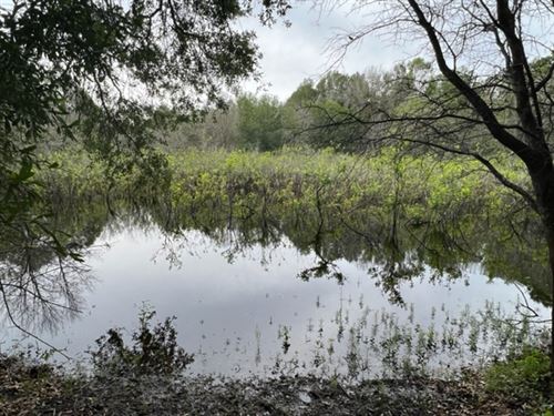 Houston County Alabama Land for Sale : LANDFLIP