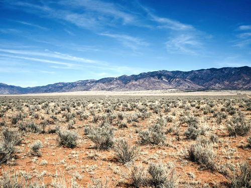 Jon Davis : Land For Life LLC Land for Sale : LANDFLIP