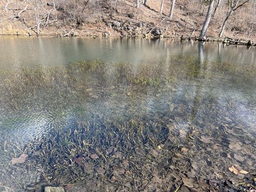 Wayne County Missouri Land for Sale : LANDFLIP