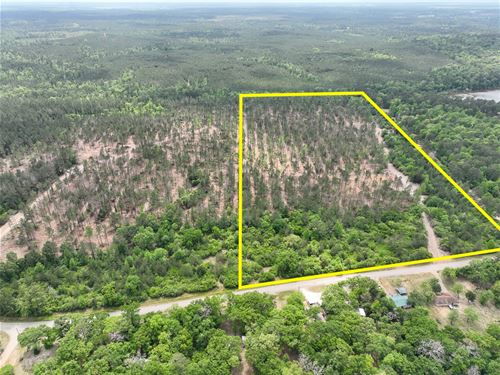 Houston County Texas Land for Sale : Page 2 of 2 : LANDFLIP