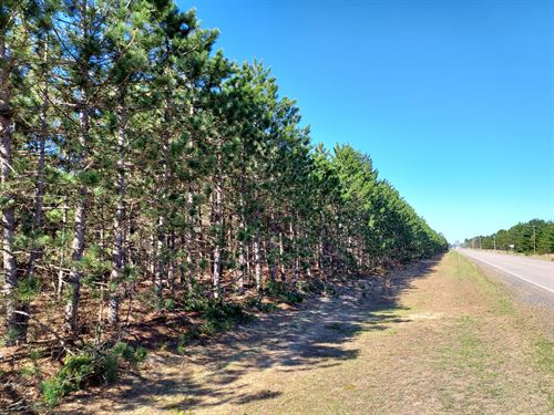 Wisconsin Land for Sale : LANDFLIP