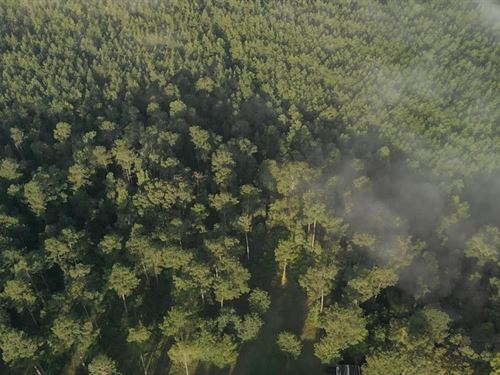 Alabama Land for Sale : Page 30 of 63 : LANDFLIP